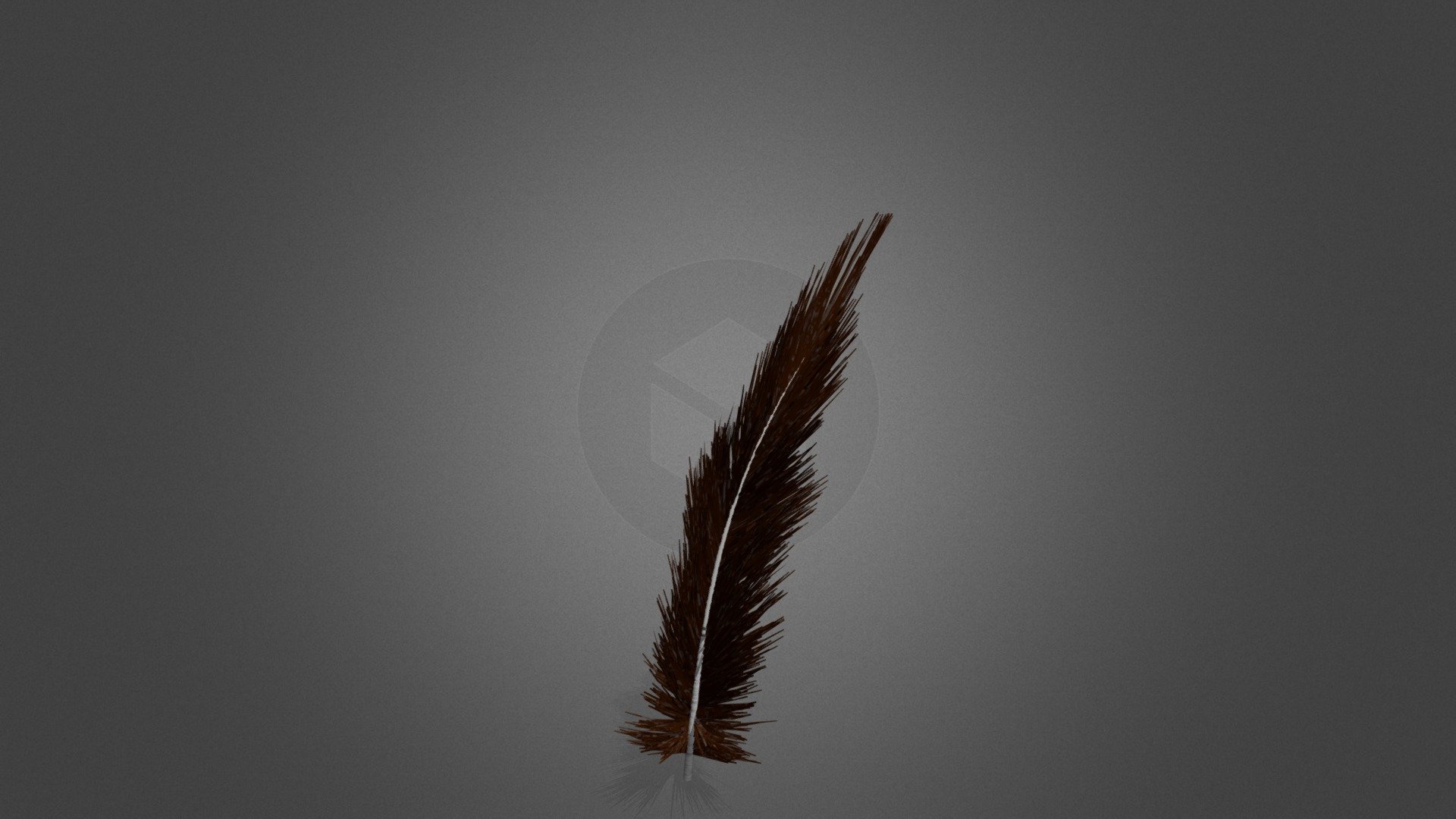 Feather Textured Test - 3D model by cathairk4 [96aad46] - Sketchfab