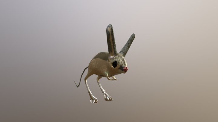 Jerboa 3D models - Sketchfab