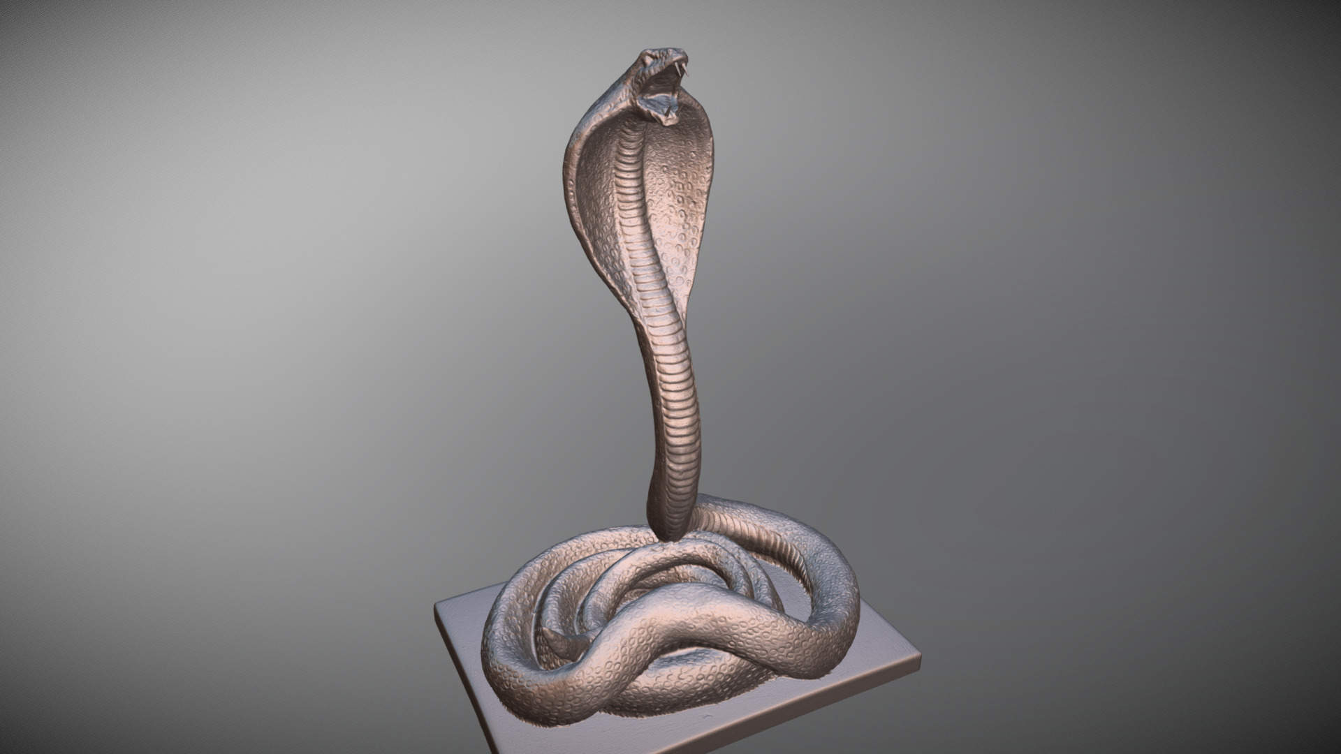 Cobra high res - 3D model by DittoLabs [96b2135] - Sketchfab