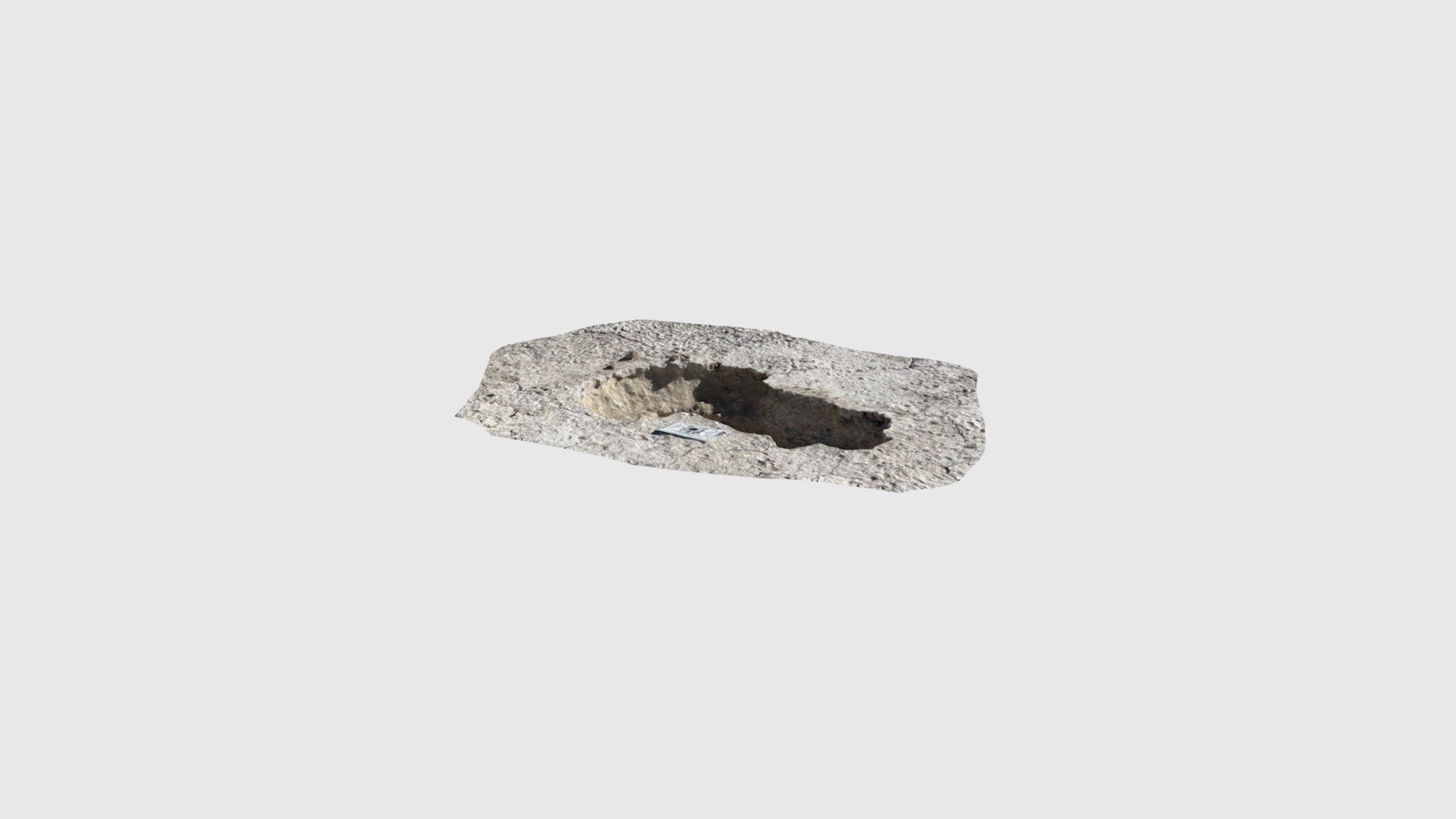 Giant ground sloth prints - Download Free 3D model by whitesands.weevil ...