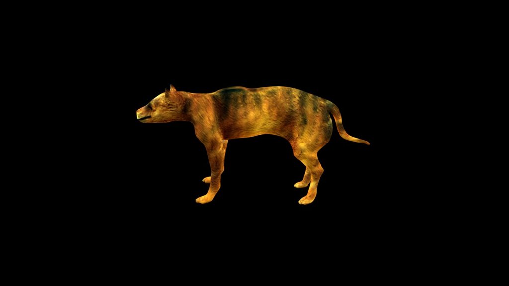 Didelphodon - 3D model by dinosaurhunter [96cd34d] - Sketchfab