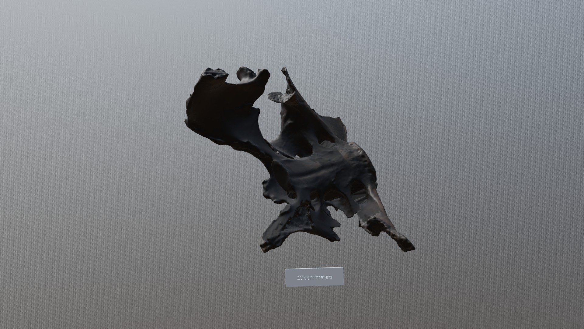 Giant Ground Sloth Pelvis (VCU_3D_3627) - Download Free 3D model by ...