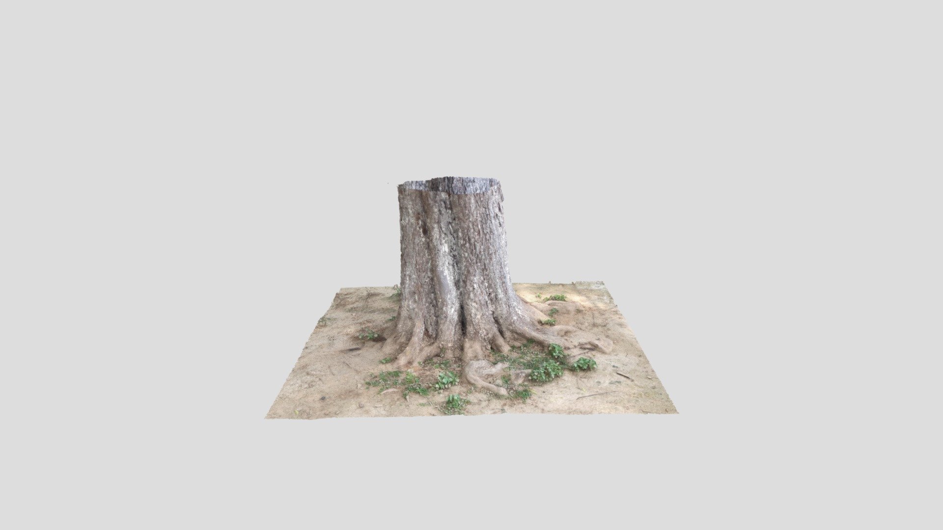 Tree stump - Download Free 3D model by Princebali [96e97d0] - Sketchfab