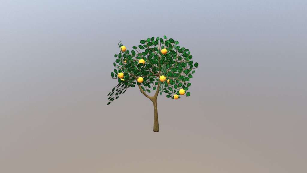 Orange Tree - 3D model by Angel Perez (@Flanyleche) [96eb1b6] - Sketchfab