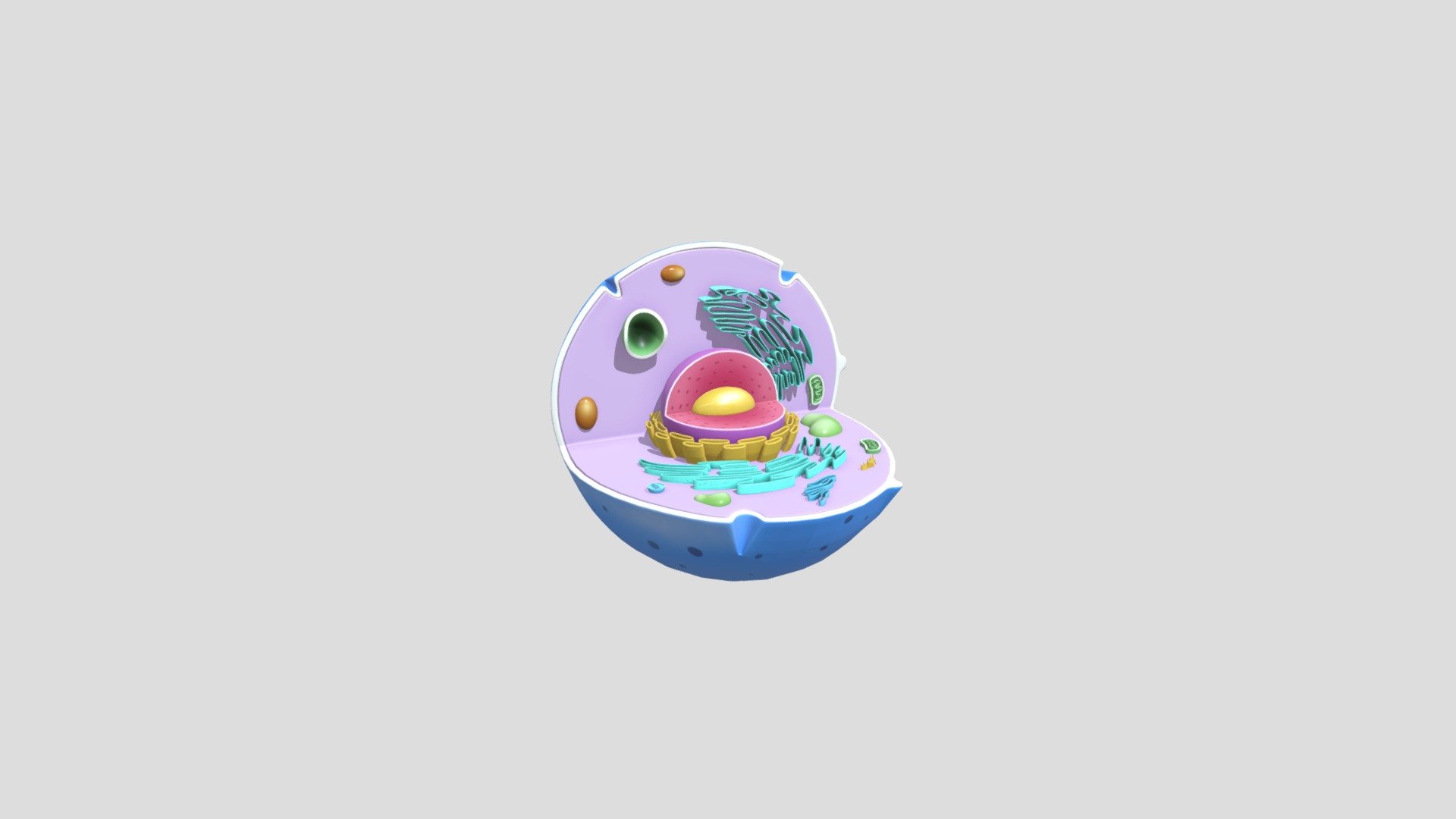 Sel Hewan - 3D model by trioageng [96f0c4e] - Sketchfab