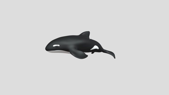 Orcas 3D models - Sketchfab