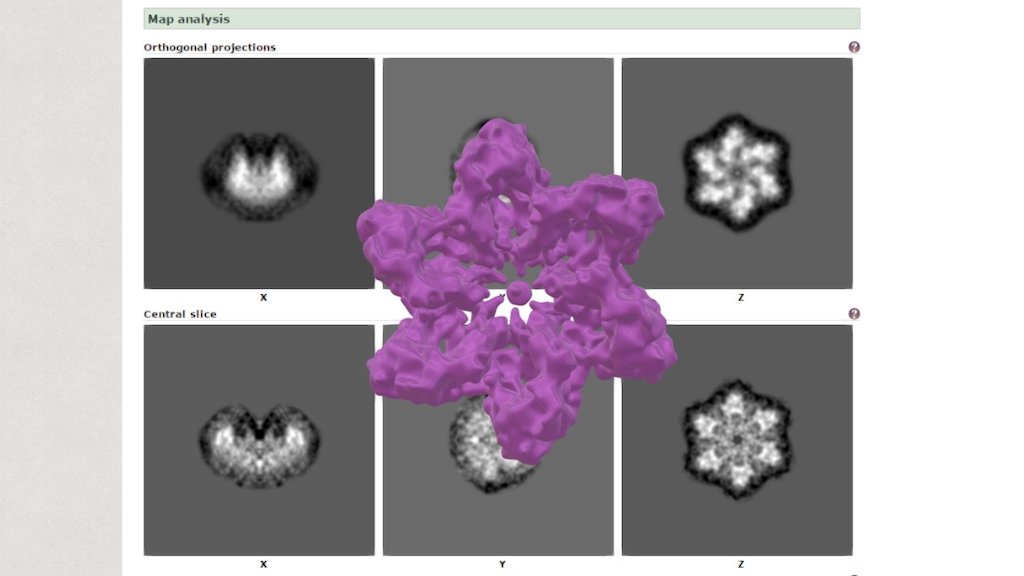 EMDB › EMD-3596 - 3D model by Interactive 3D Data (@proteinsimulation ...