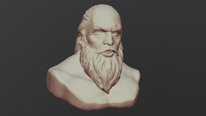 Beard 3D models - Sketchfab
