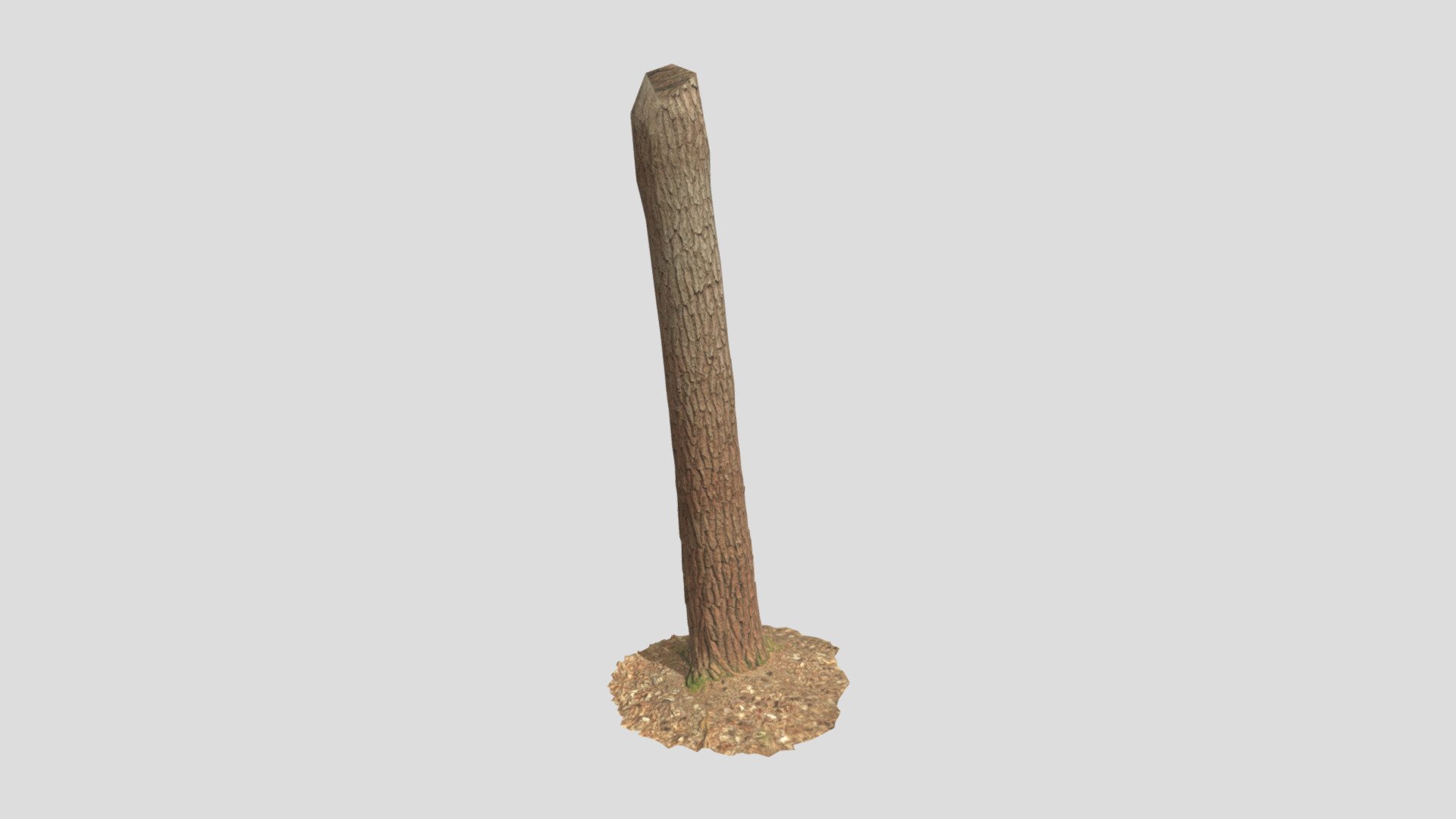 Pine Tree Trunk Roots Processed Scans Forest - Buy Royalty Free 3D ...