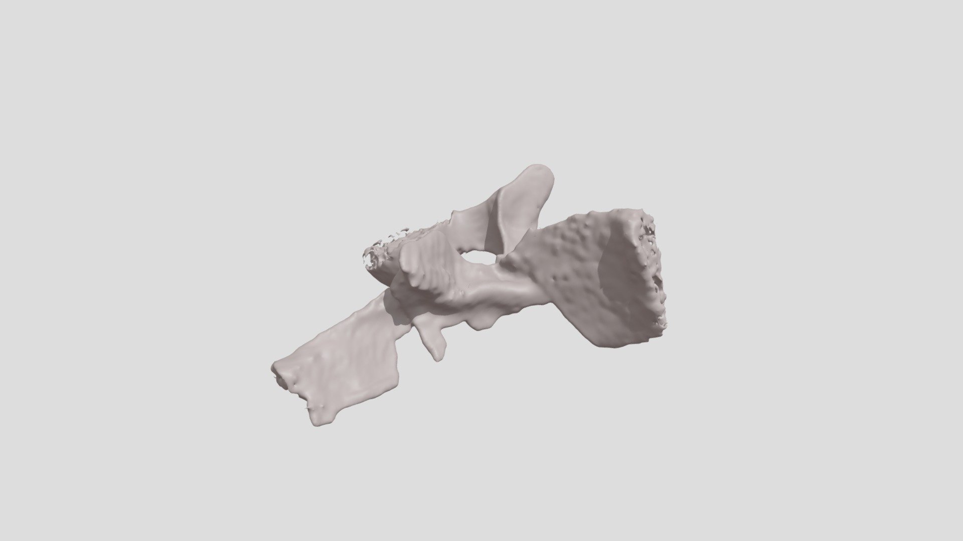 Goniopholis sp. vertebra - 3D model by Edgar Mulder (@EdgarMulder ...