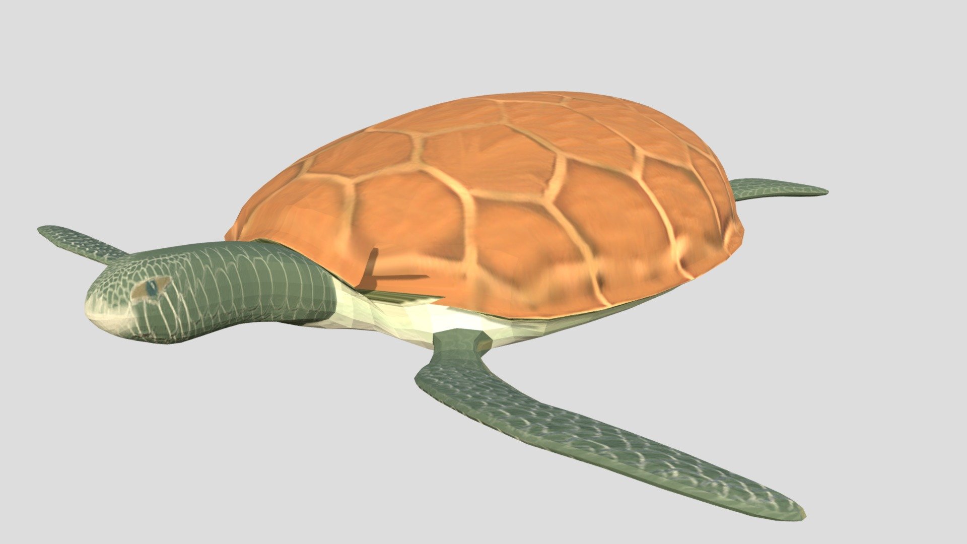 Sea Turtle - 3D model by suabo [96f7b04] - Sketchfab