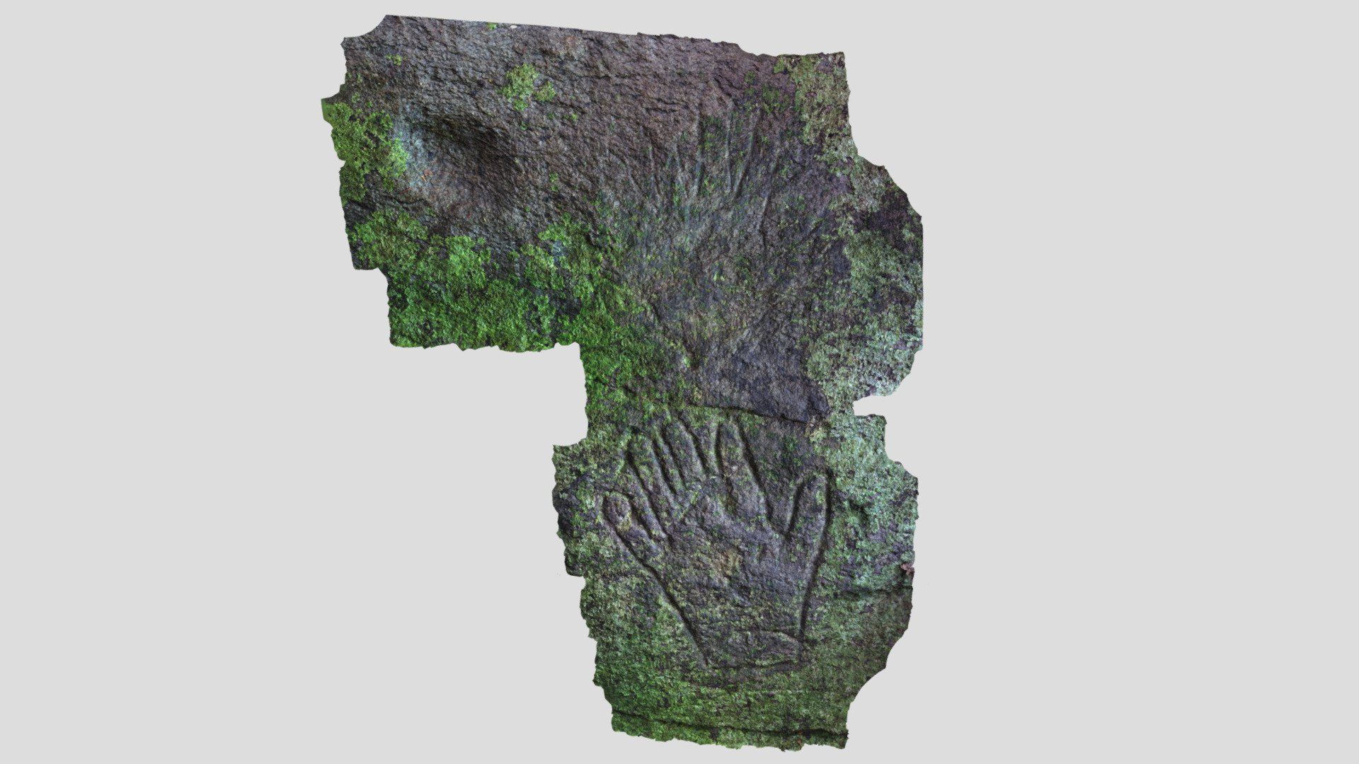 Great Hands 1 and 2 - Download Free 3D model by NEARA (@neara.org ...