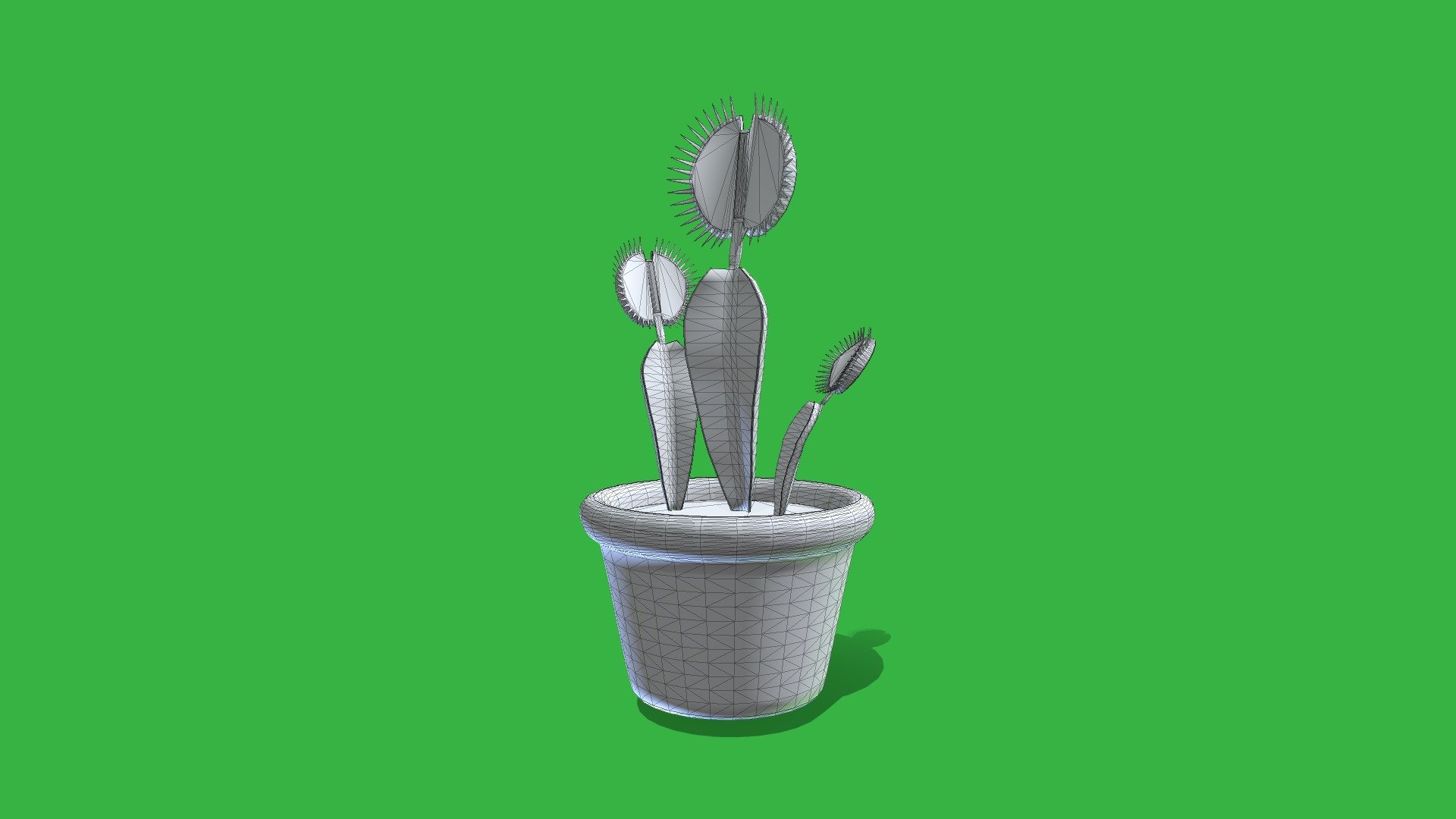 Venus fly trap - 3D model by s4106722 [970190a] - Sketchfab