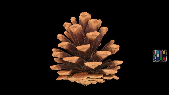Cc0 3D models - Sketchfab