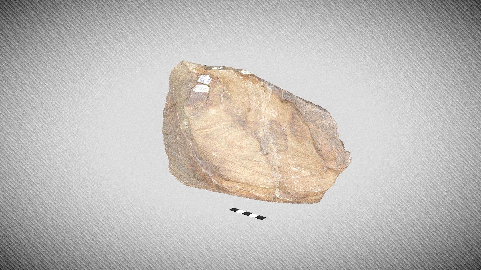 cross stratification - Download Free 3D model by UQ School of Earth and ...
