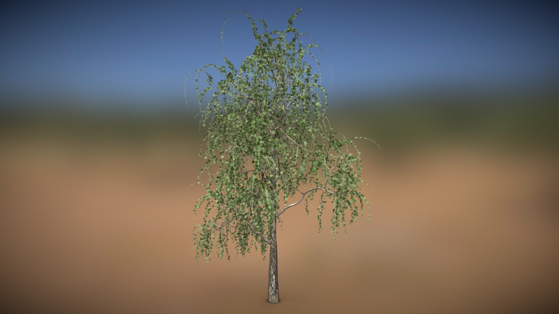 Birch Tree 01 - Buy Royalty Free 3D model by Geug [97050c8] - Sketchfab ...
