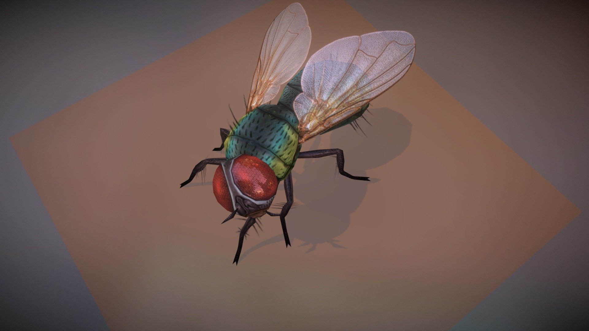 Idling Fly - 3D model by hinxlinx [9709bb3] - Sketchfab