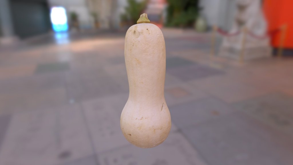Squash - 3D model by Nicholas Ferrell (@16bit) [970da71] - Sketchfab