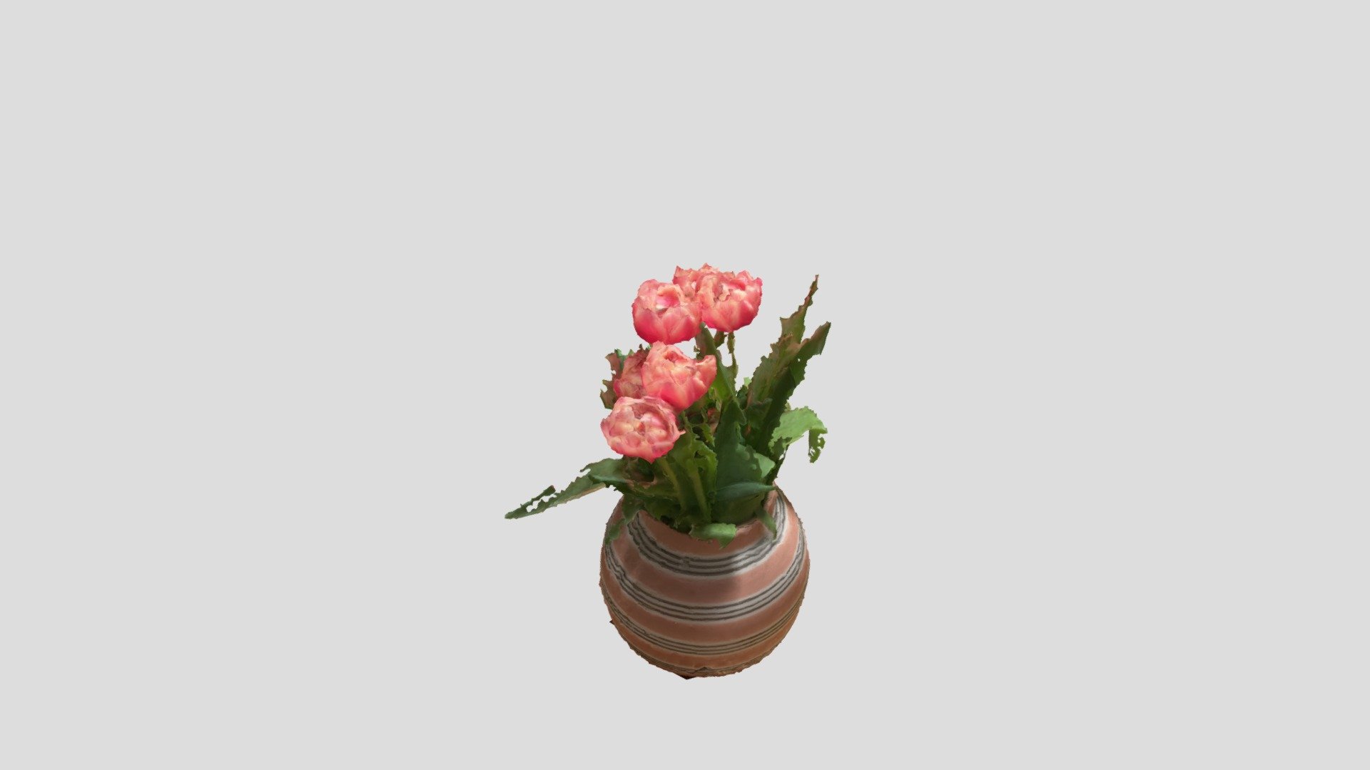 Tulip - Download Free 3D model by conmes [9710ca4] - Sketchfab
