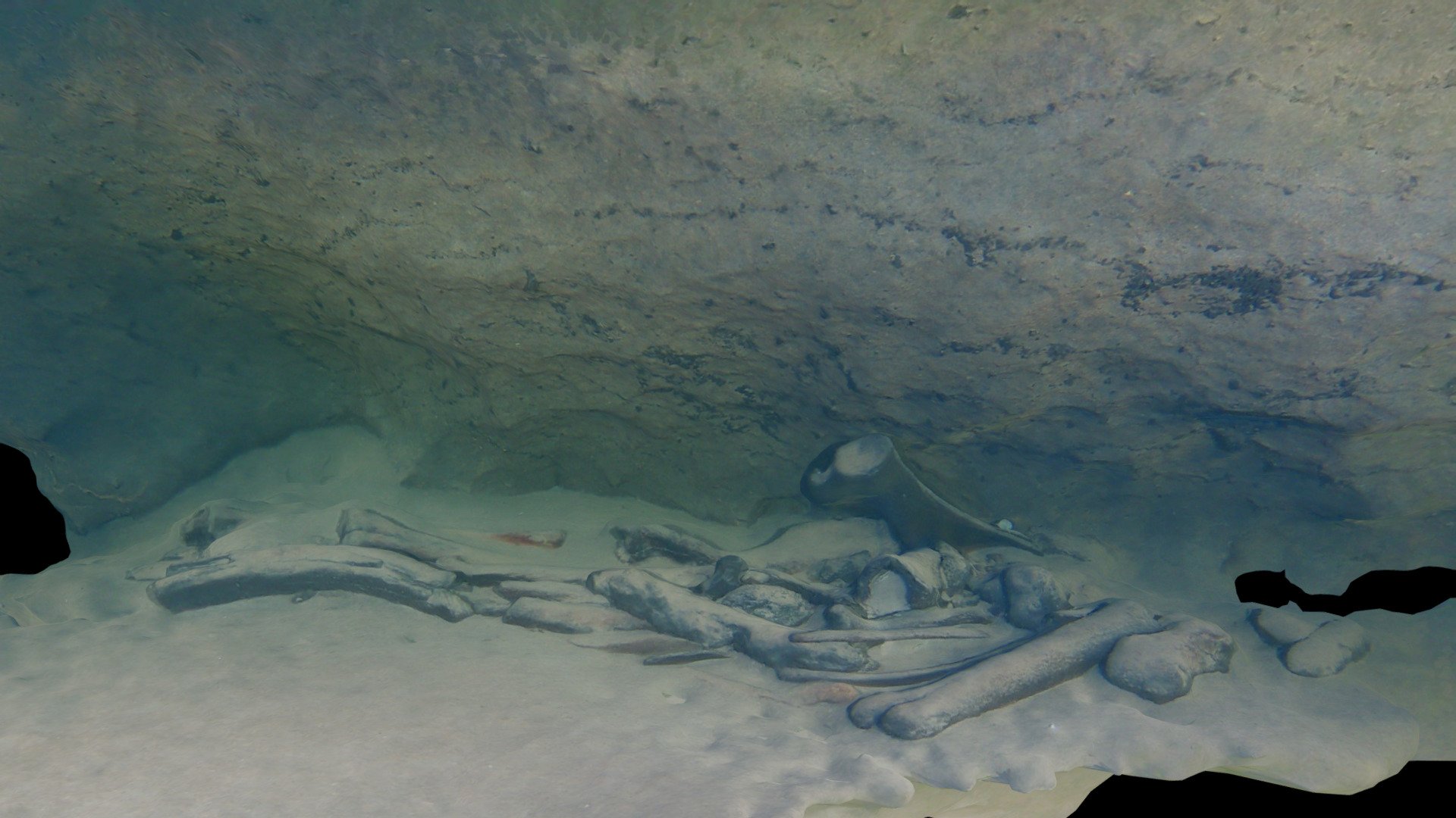 Fossils Underwater in Cave - 3D model by New England Explorers ...