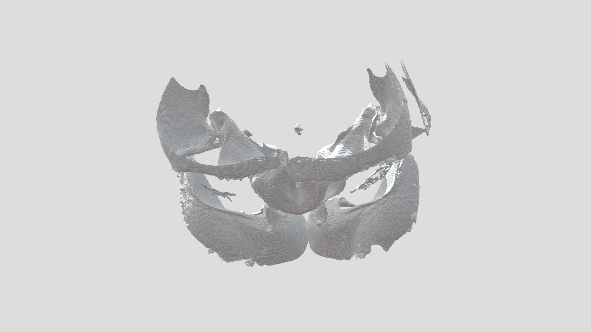 Cephidae_prothorax_bb125_z_01_mesh - 3D model by boudant (@boudinotb ...