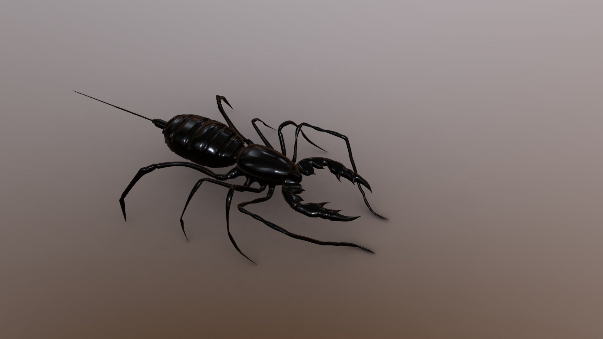 Vinegaroon - 3D model by GentryHS EAST (@gentryhsEAST) [971e536 ...