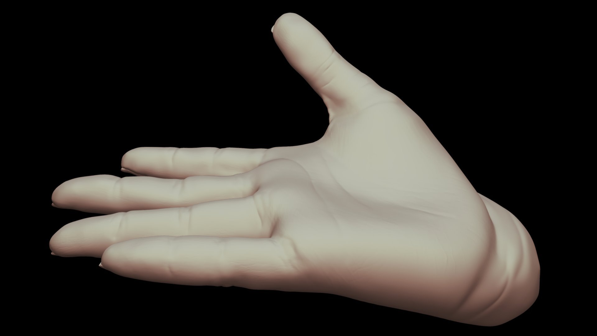 Hand Sculpt - 3D model by nici182 [9723936] - Sketchfab