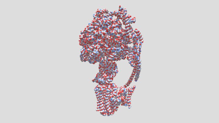 Atp-synthase 3D models - Sketchfab