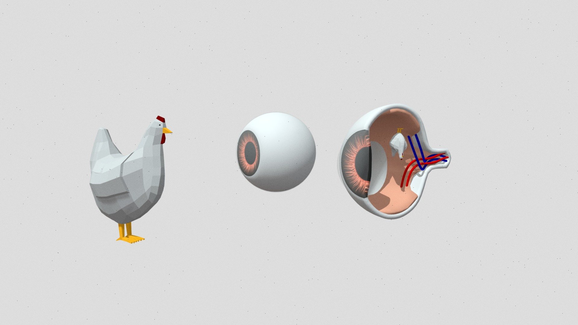 Anatomi Mata - 3D model by vantatipata [9731fd5] - Sketchfab
