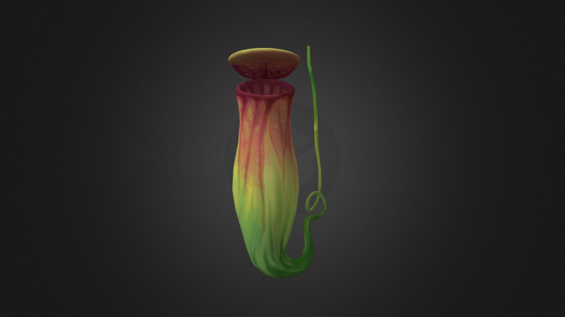 Pitcher Plant model - 3D model by ManonDeJong [9733df2] - Sketchfab