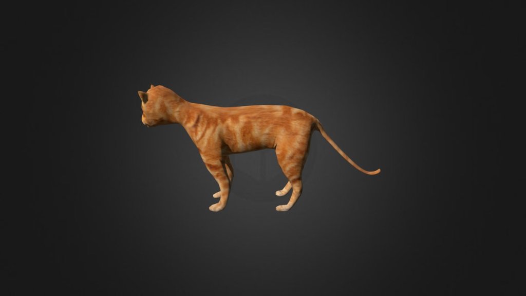 Cat - 3D model by Kei (@k3iyi) [9739acb] - Sketchfab