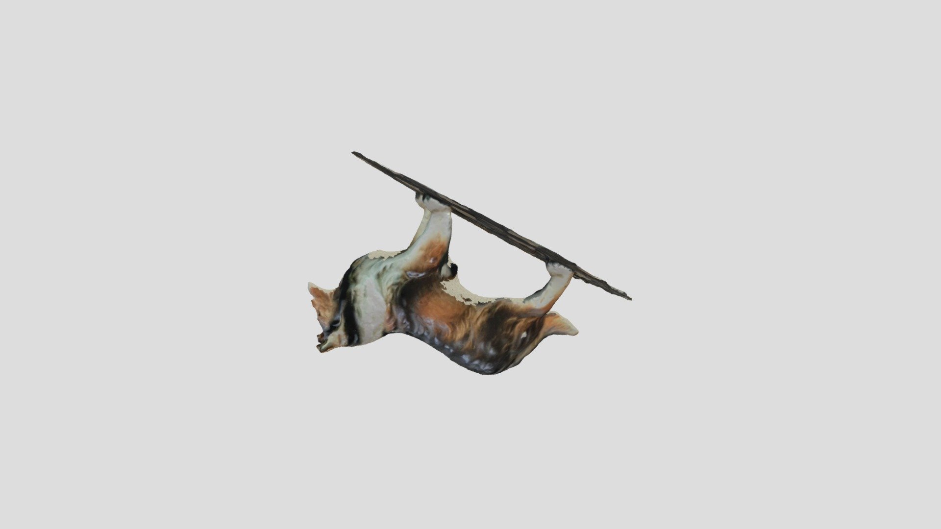 doggo - 3D model by parsenault [9741964] - Sketchfab