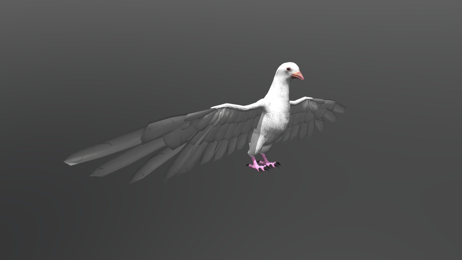 Dove - Buy Royalty Free 3D model by 3dlowpoly [9743ab1] - Sketchfab Store