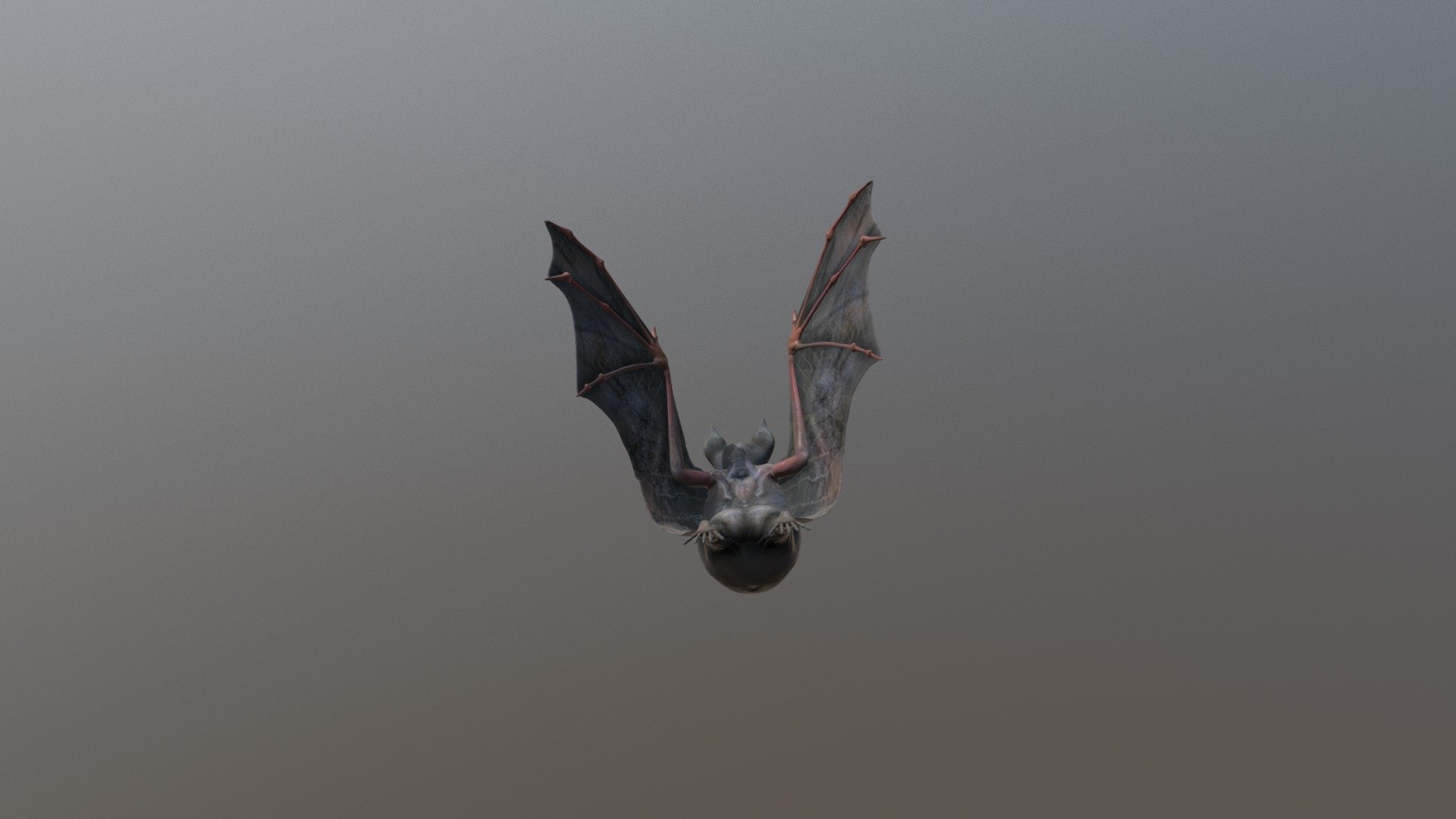 Bat - 3D model by mitashki76 [974e075] - Sketchfab