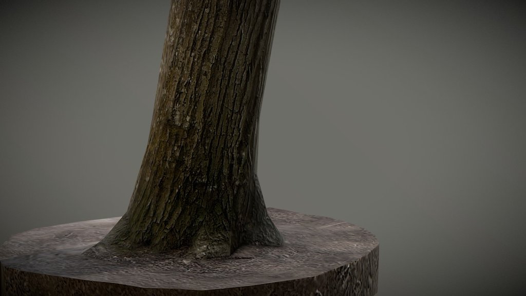 Elm Tree [ Medium ] - 3D model by deepfielddev [9754bd5] - Sketchfab