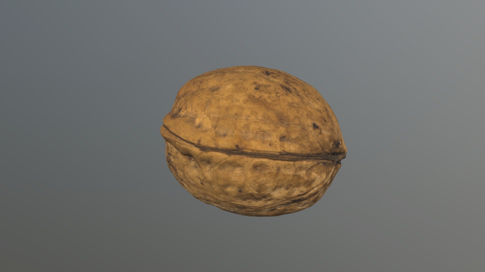 Walnut - 3D model by Stanislav Stefanov (@S.Stefanov) [975f58d] - Sketchfab