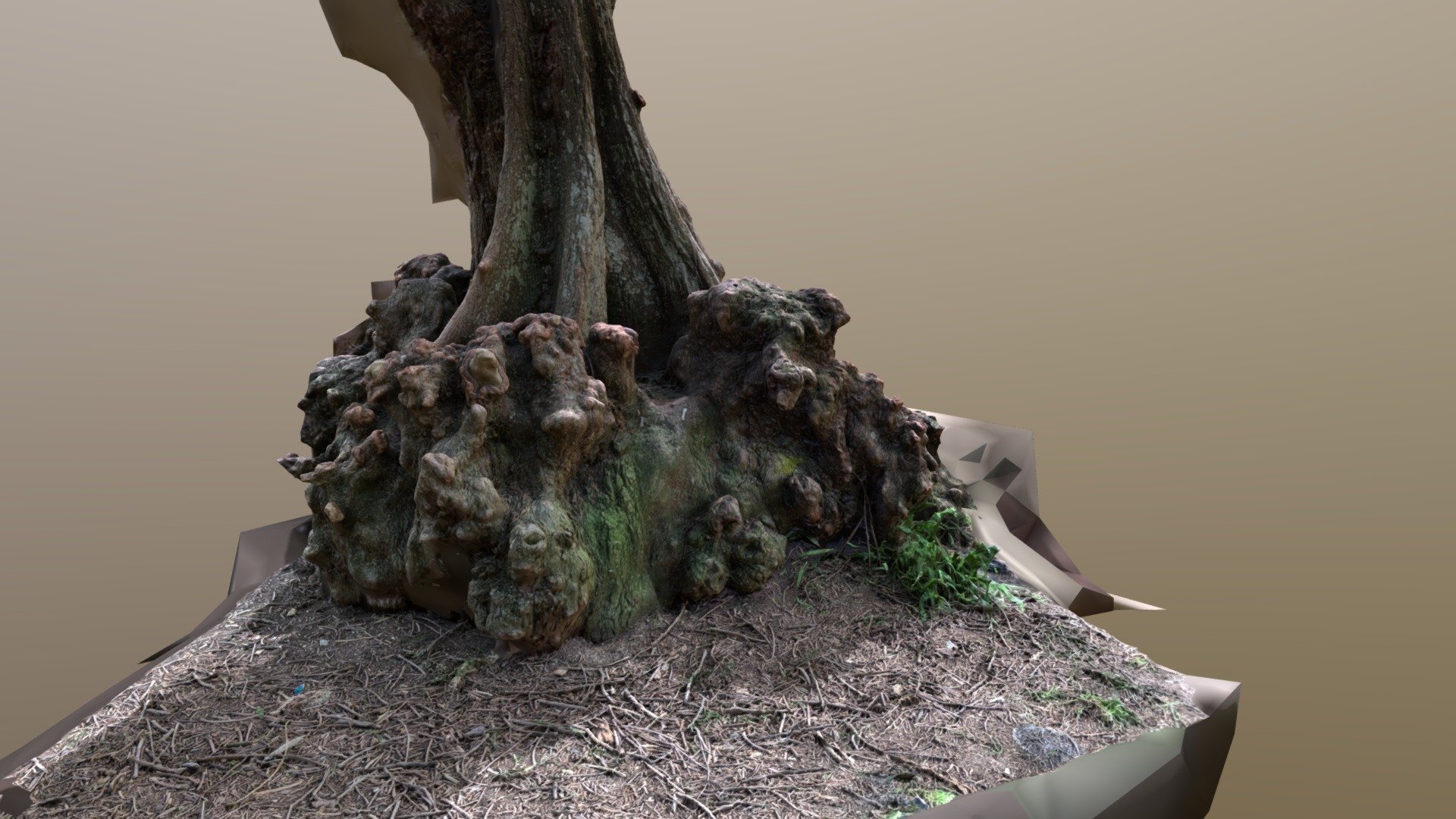 Tree Burl Test - Download Free 3D model by peter.allely [976366d ...
