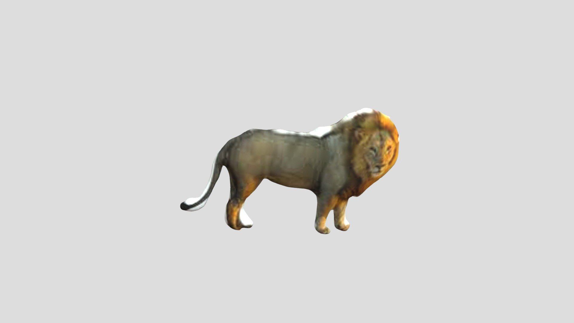 lion jump - Download Free 3D model by leo0928007503 [97638fe] - Sketchfab