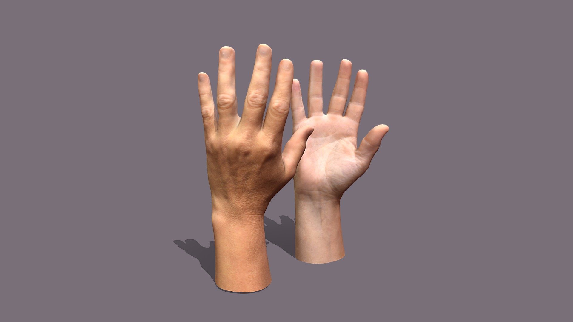 Female Hands - 3D model by Lassi Kaukonen (@thesidekick) [9768da2 ...