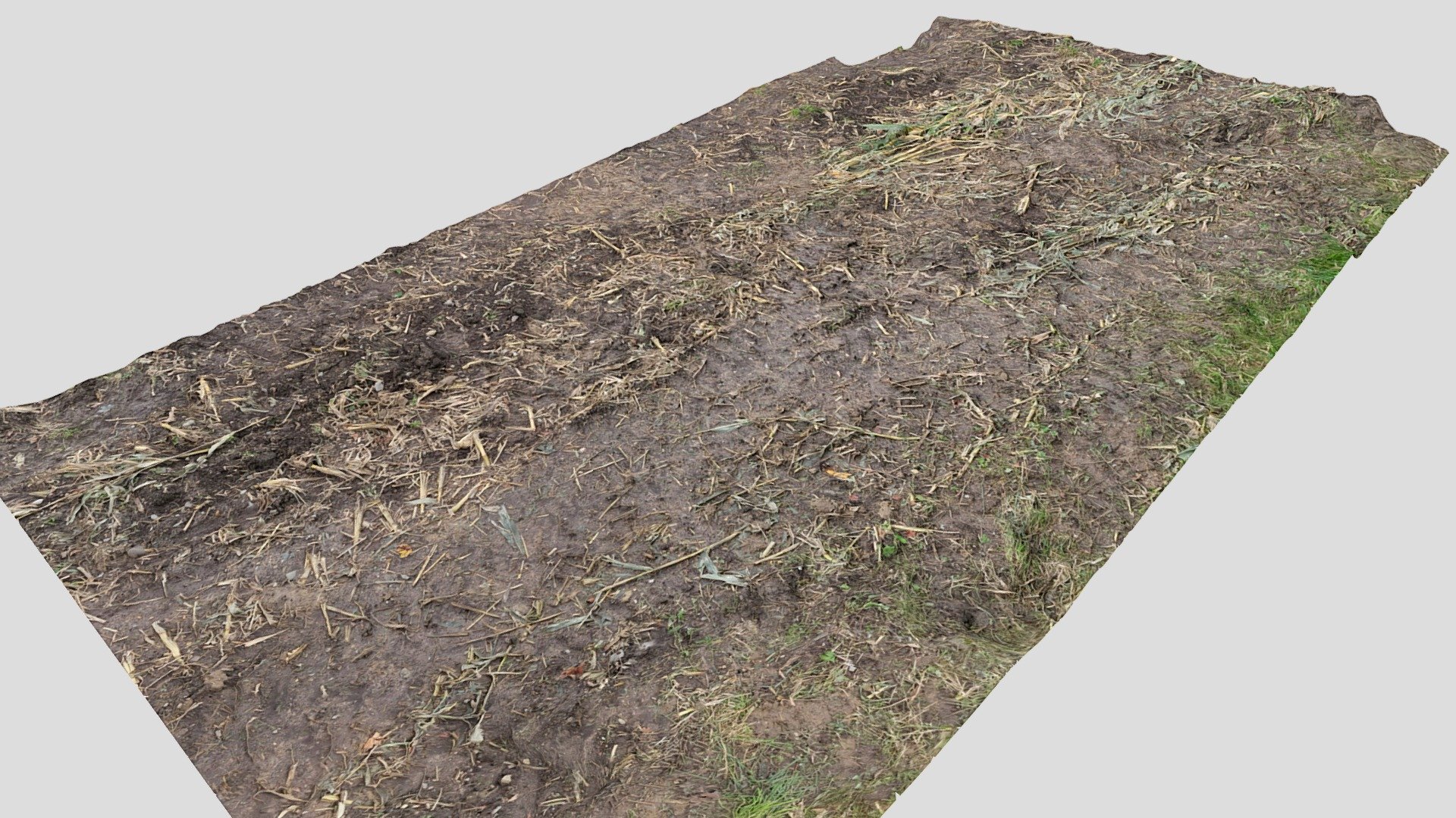 Ground Scan 8k 031 - Buy Royalty Free 3D model by immerge [9775fac ...