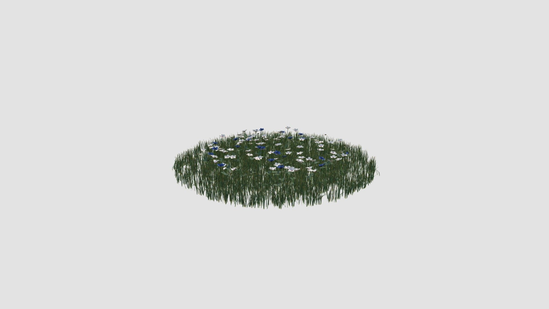 simple grass large - Buy Royalty Free 3D model by Evermotion [9776b28 ...