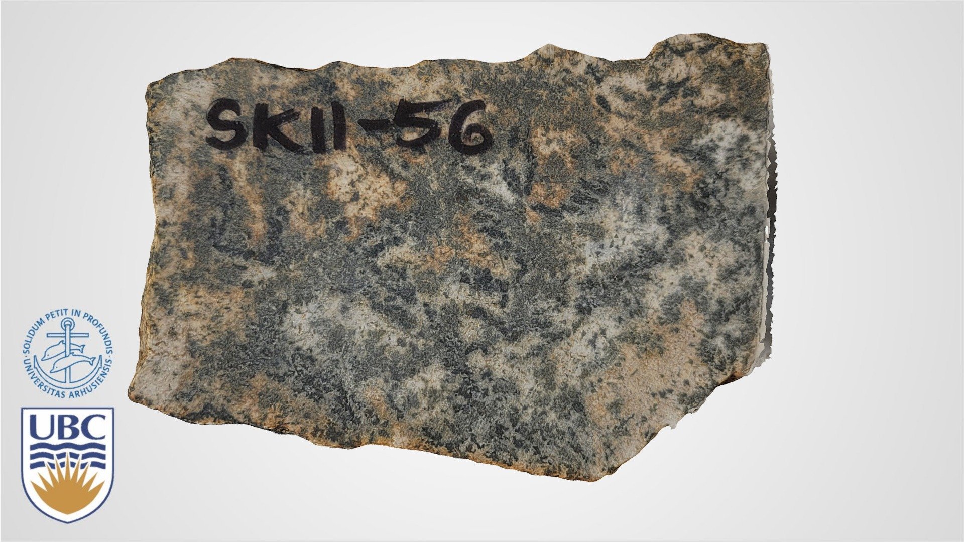Skaergaard intrusion Sandwich Horizon (SK11-56) - 3D model by Nichole ...