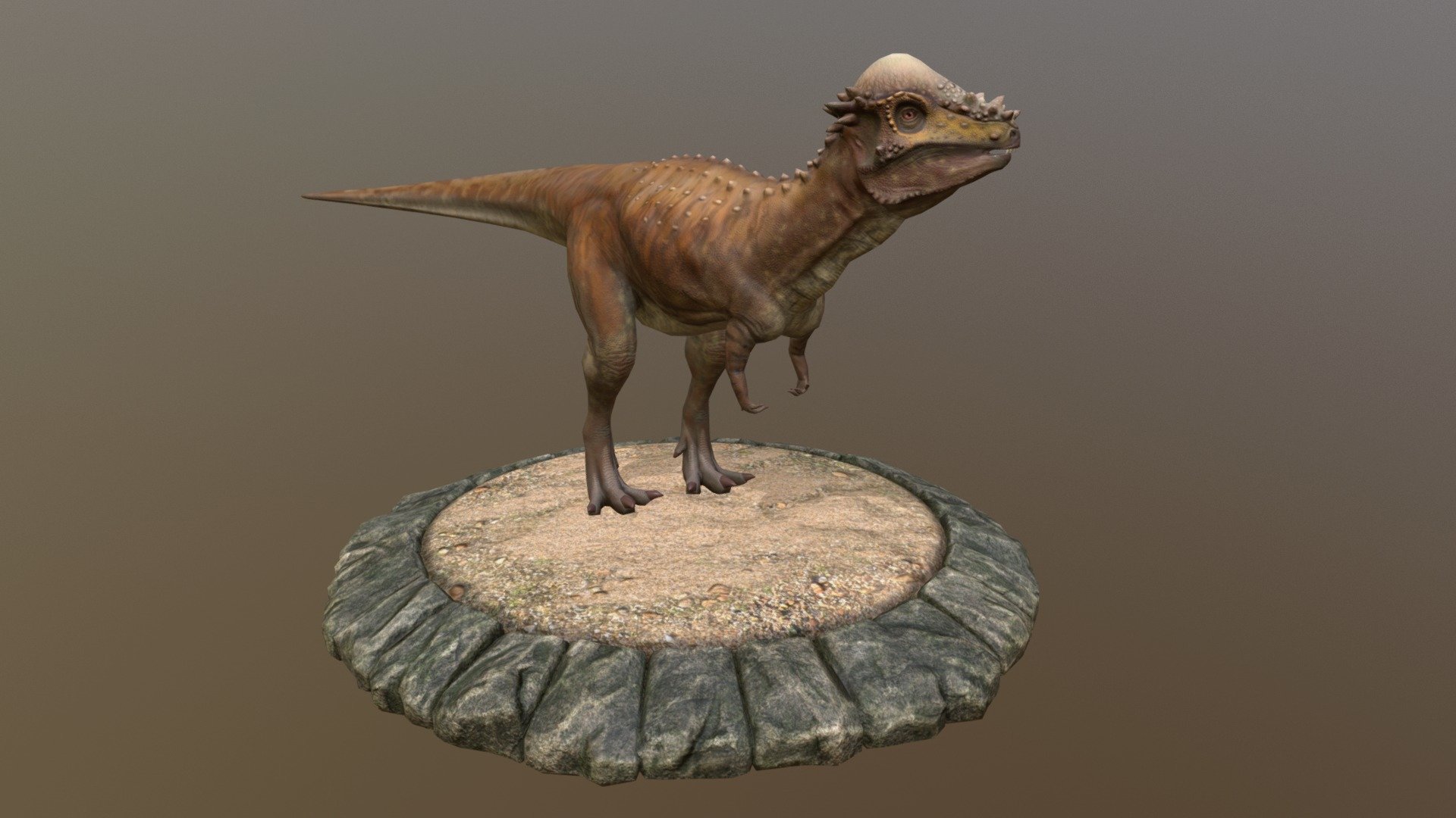 Pachycephalosaurus - 3D model by Yode (@yodegroup) [977eb86] - Sketchfab