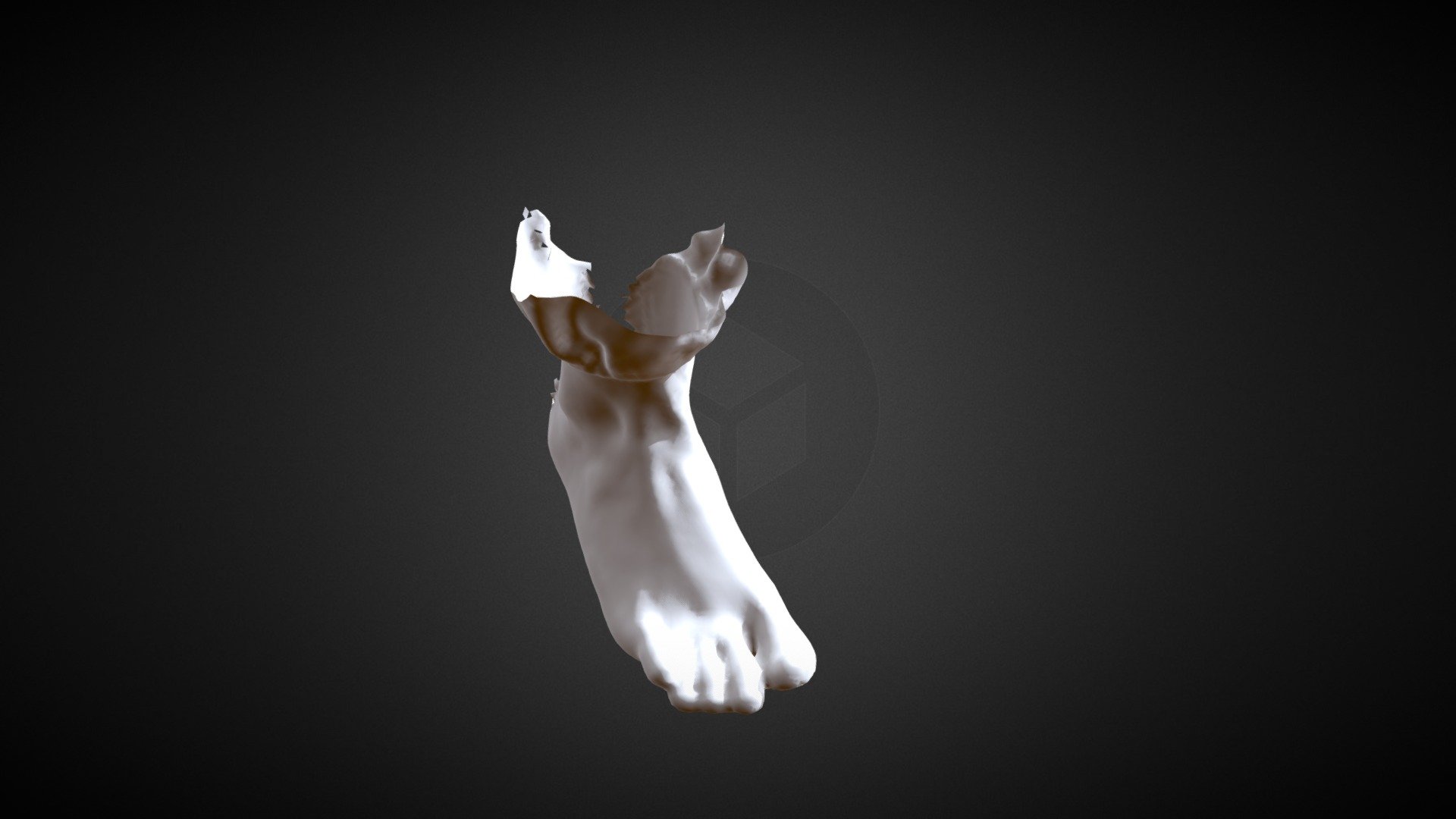 3D Foot Scan - Download Free 3D model by Structure (@structure3d ...