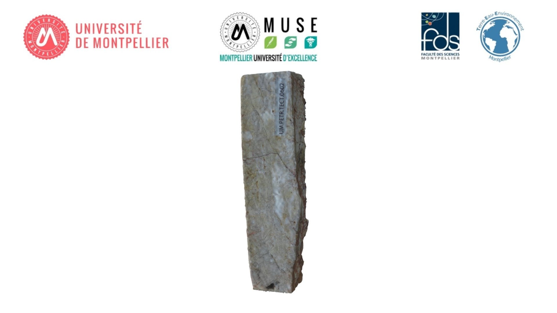 TectoUM - 602 - 3D model by Université Montpellier - Géosciences ...