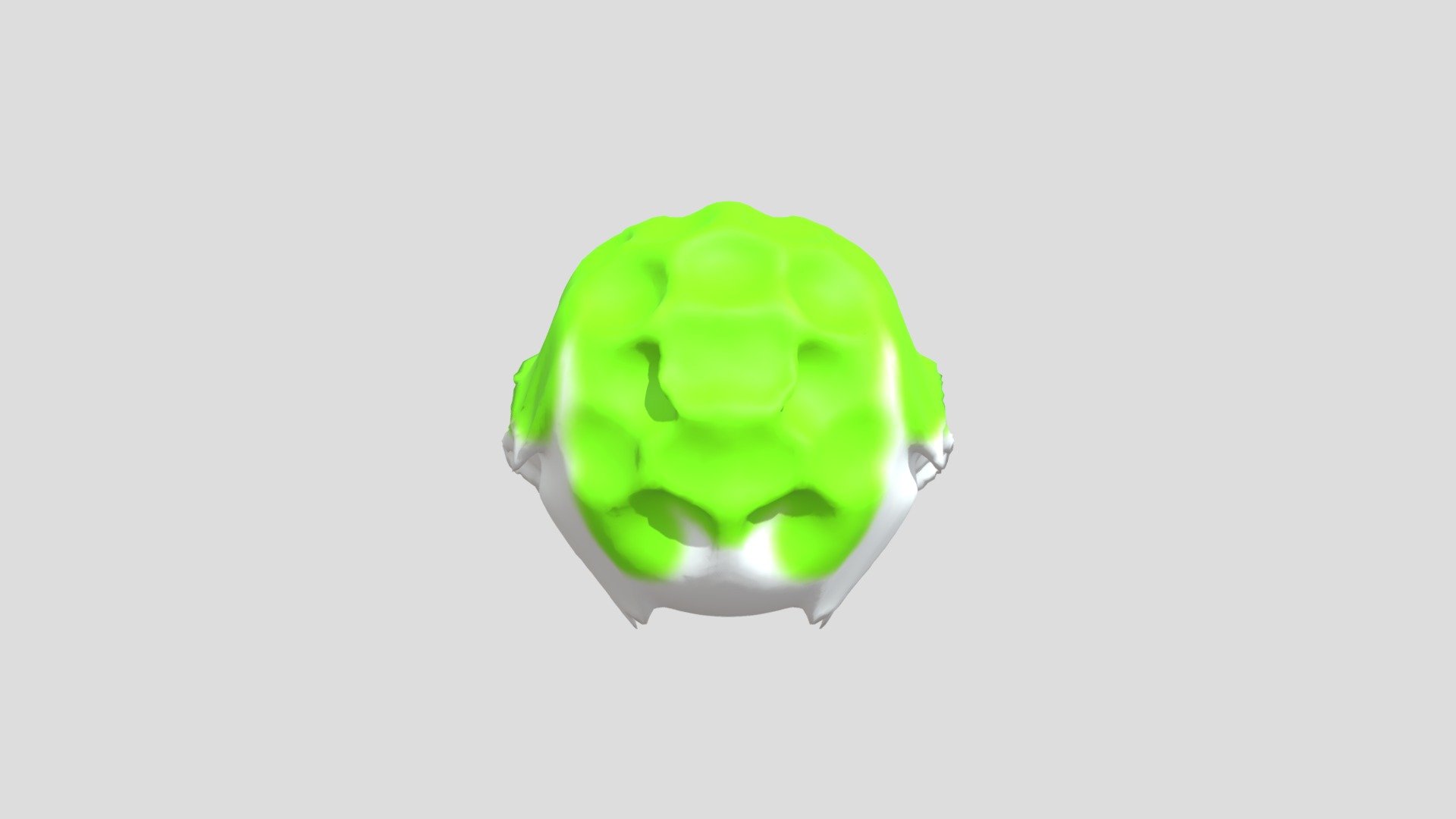 midori - 3D model by mugwump_nicole [97958dd] - Sketchfab