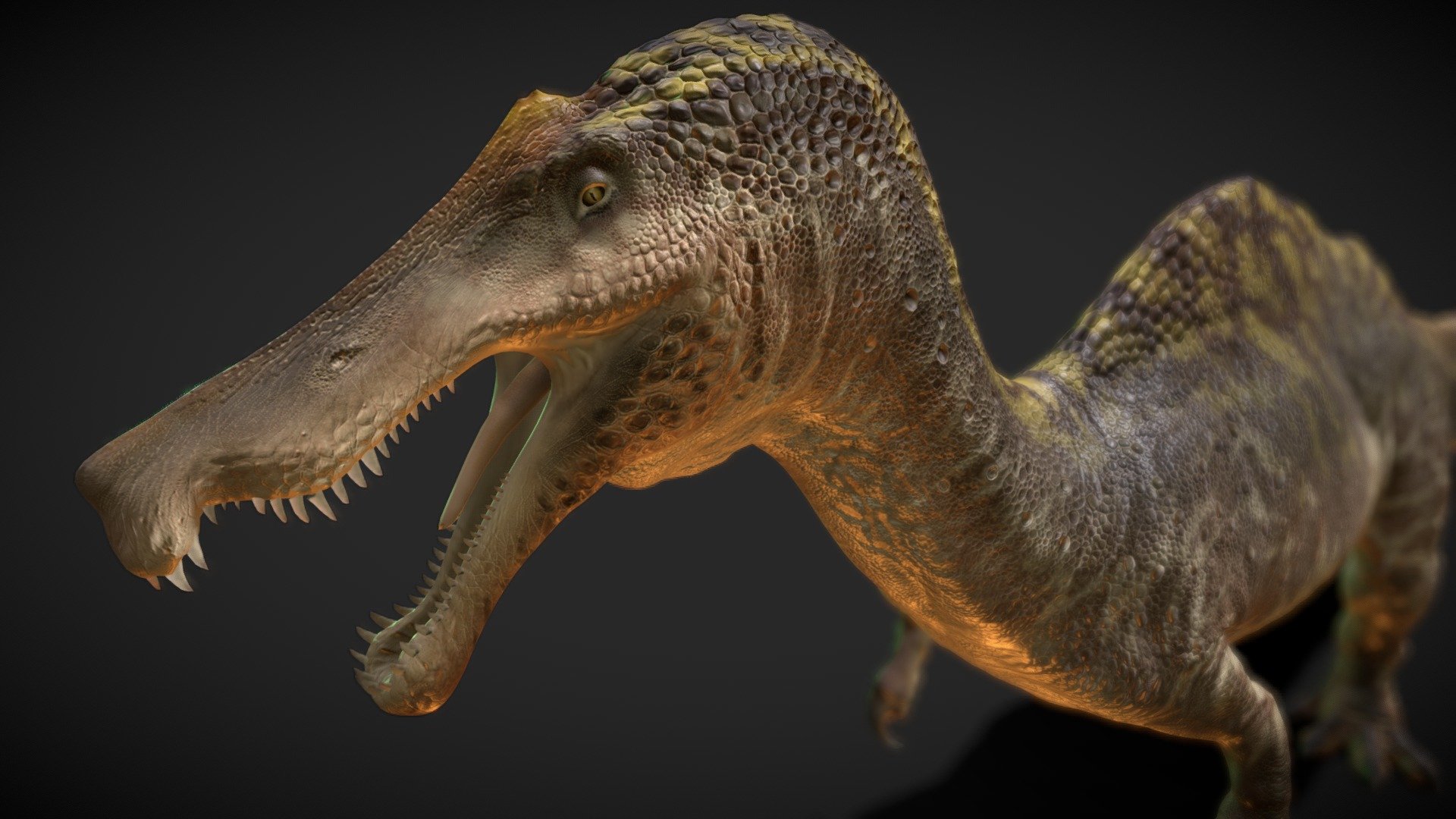 Irritator - 3D model by robertfabiani [9796619] - Sketchfab