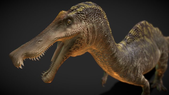 Ancientbrazil 3D models - Sketchfab