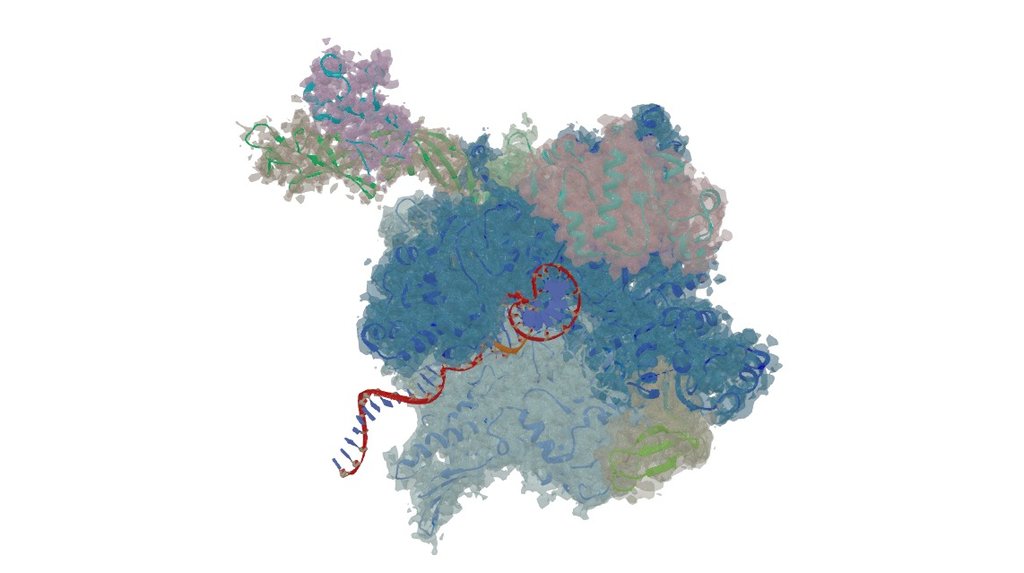 EMDB › EMD-3128 - 3D model by Interactive 3D Data (@proteinsimulation ...