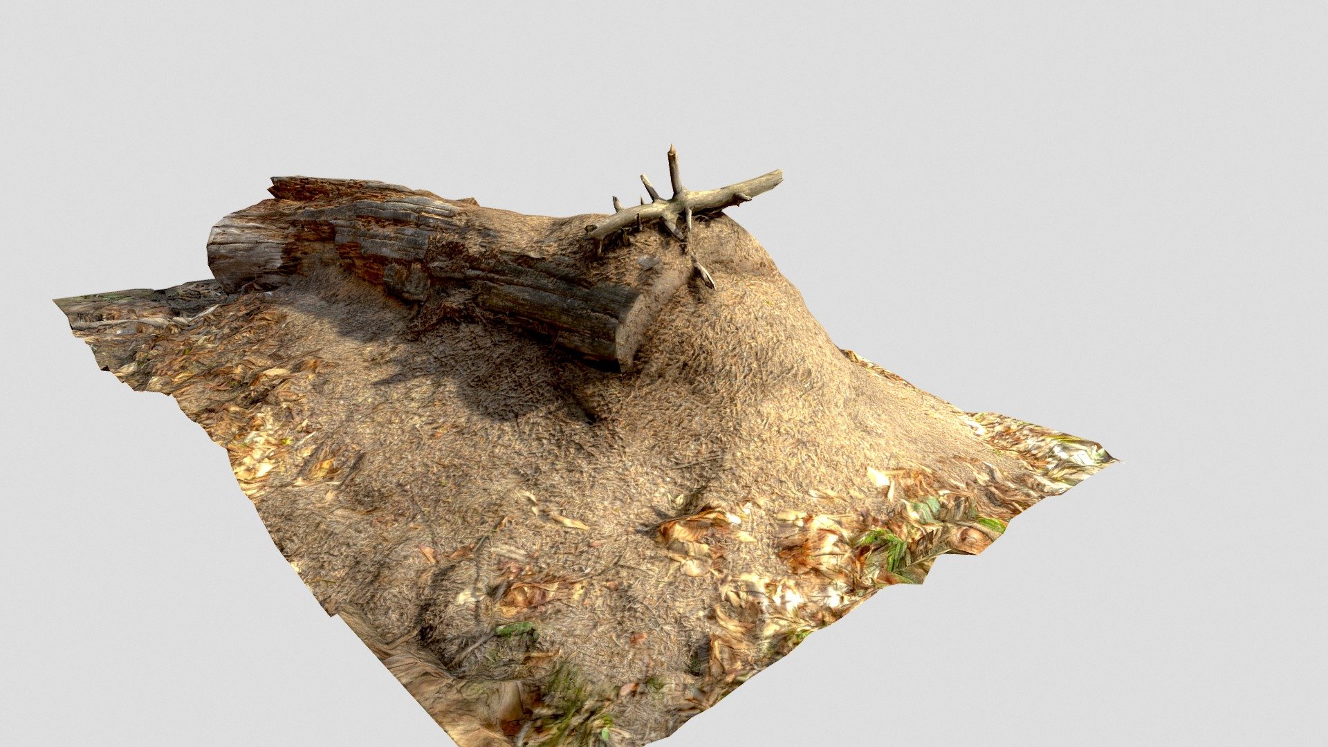 Ant Nest Log - 3D model by Reality Scanning (@realityscanning) [97a8a12 ...